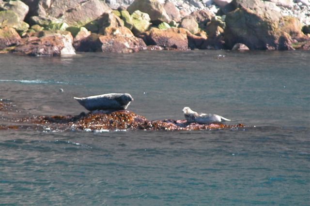 Svínoy / Færøerne / faroeislands.dk